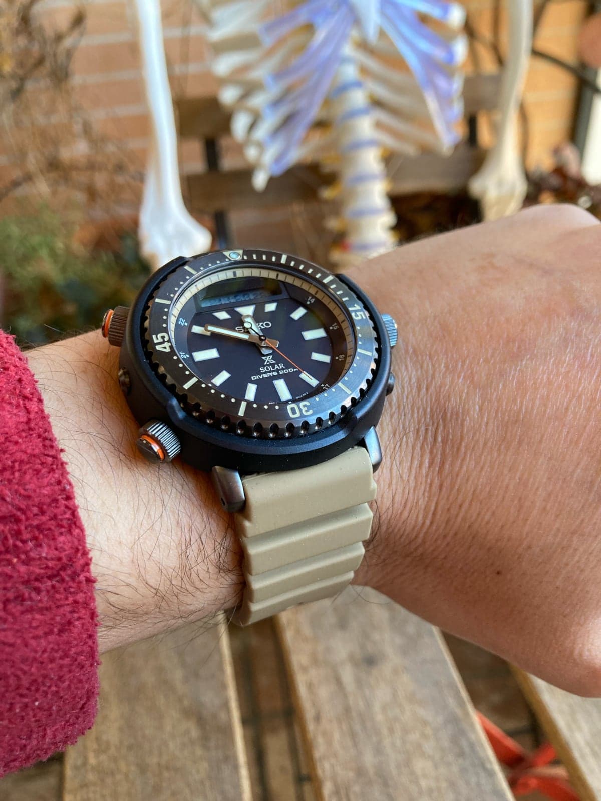 Reloj Seiko Prospex SNJ029P1 (Arnold o Arnie): un reloj solar y resistente