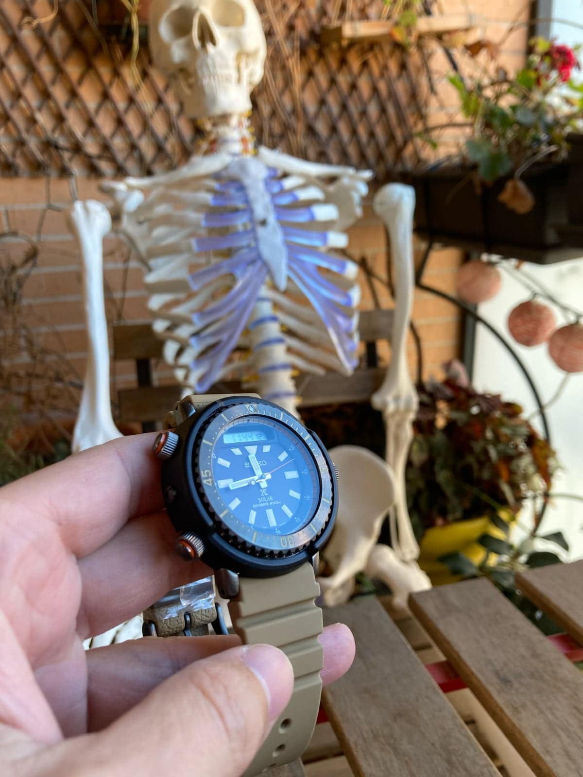 Reloj Seiko Prospex SNJ029P1 (Arnold o Arnie): un reloj solar y resistente