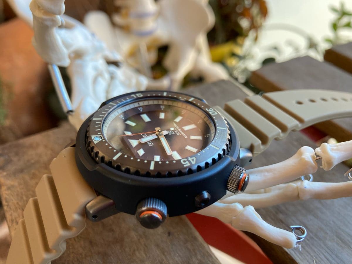 Reloj Seiko Prospex SNJ029P1 (Arnold o Arnie): un reloj solar y resistente