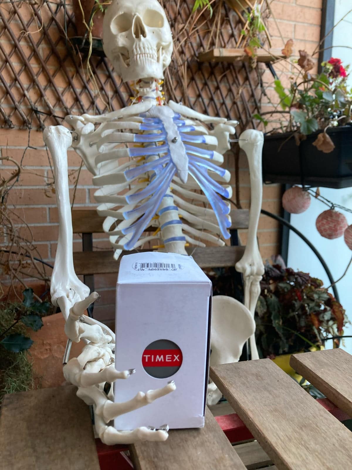 Timex Expedition Grid Shock TW4B02500 - Opinión y review: reloj enorme y