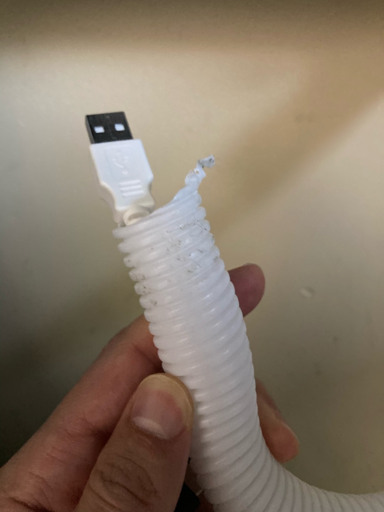 Mis gatos y porque se comen los cables: como protegerlos, pruebas y algunos