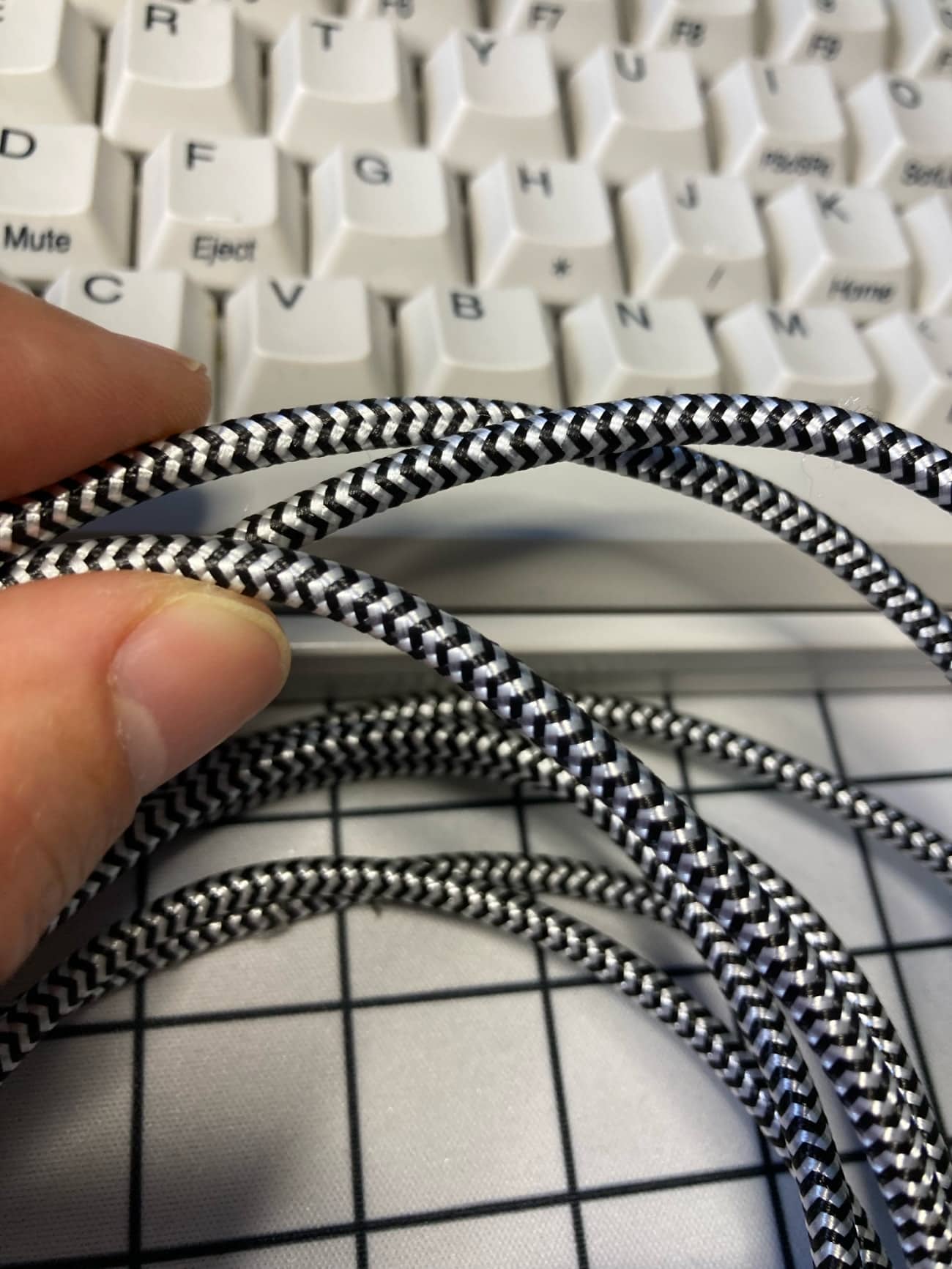 Mis gatos y porque se comen los cables: como protegerlos, pruebas y algunos